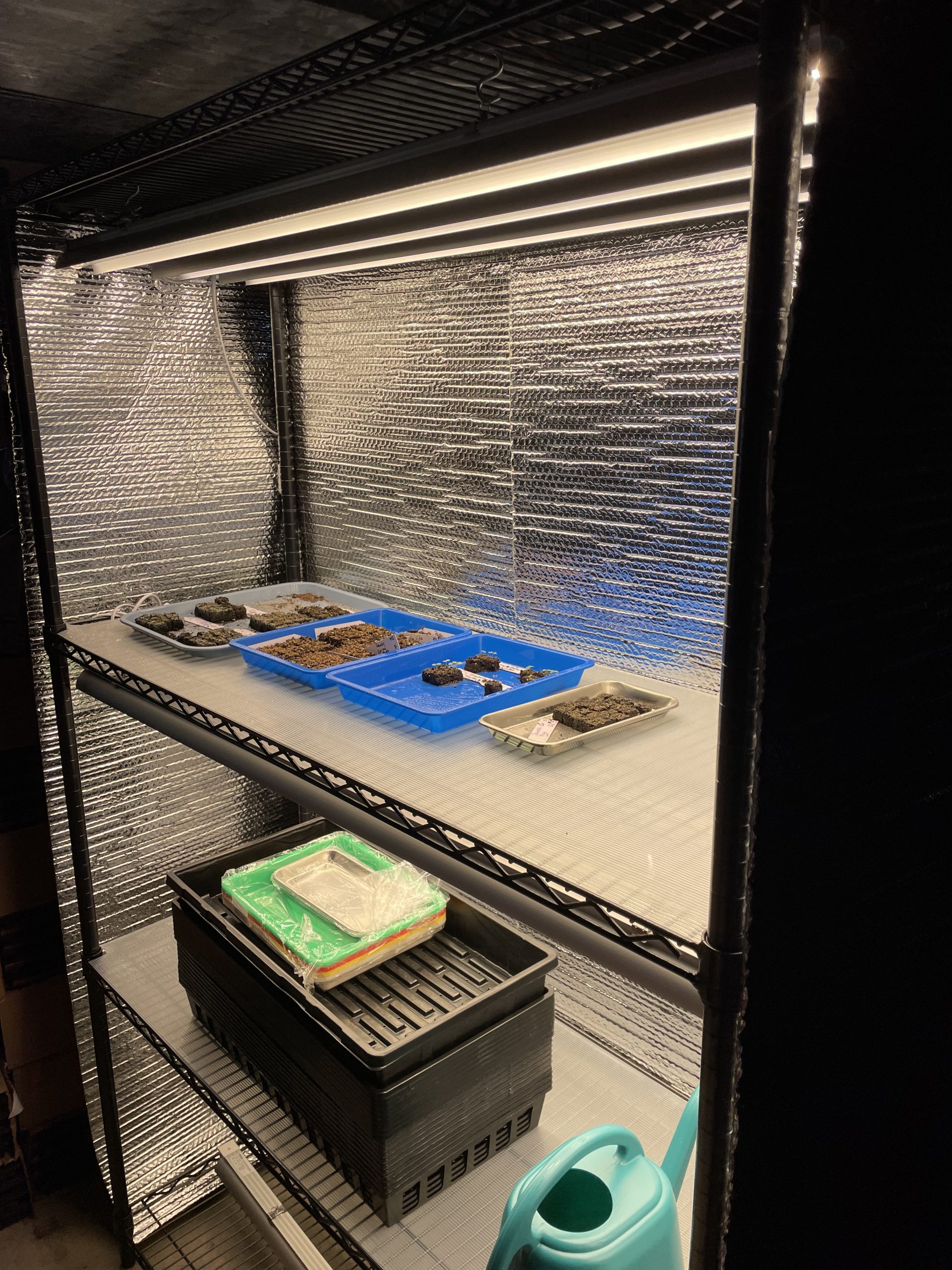 My Seed Starting Rack - Grown in New England